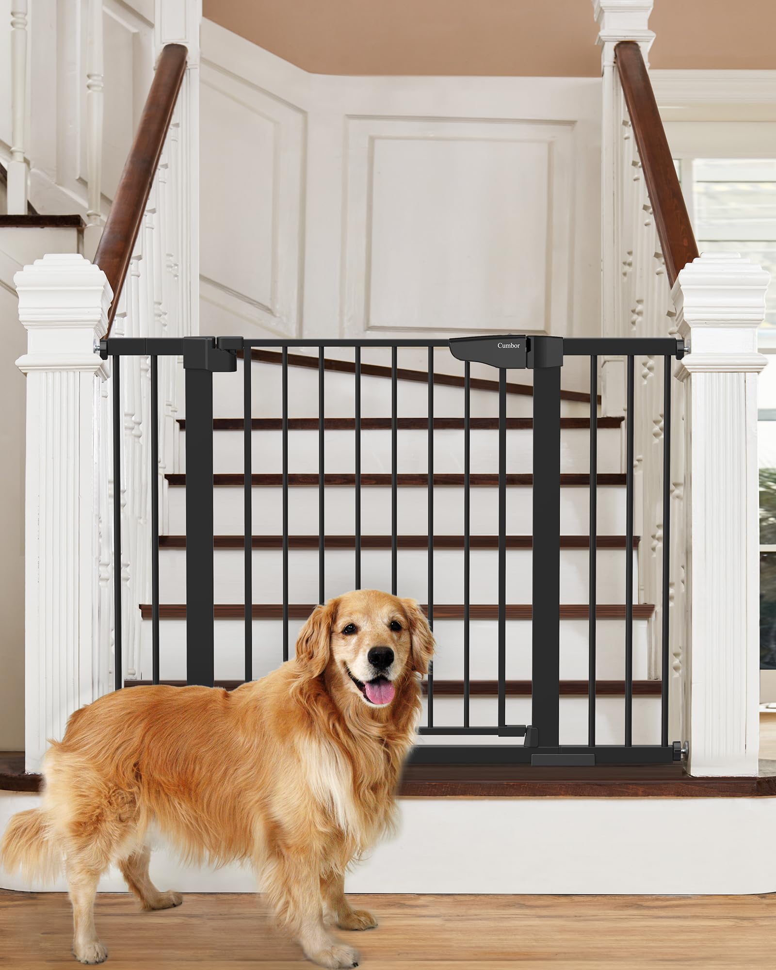 Best Dog Gates For Keeping Your Pup Safe And Secure | Alpha Paw
